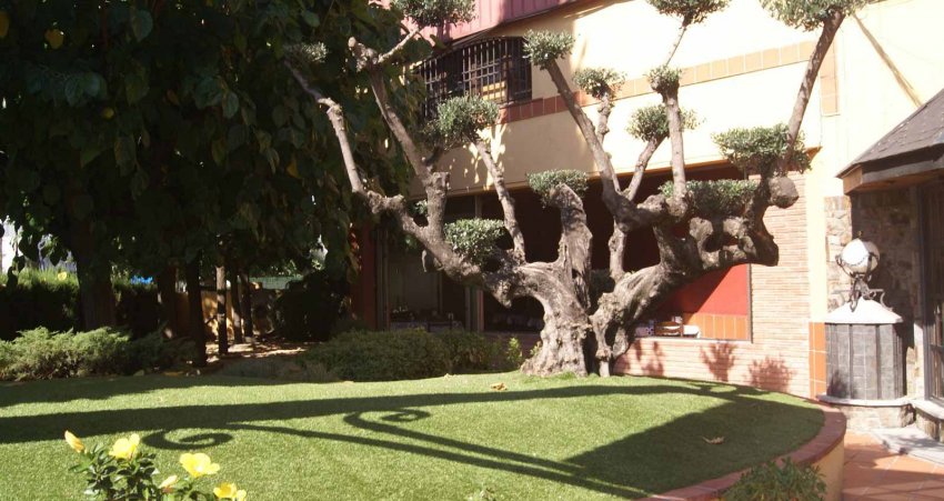 Restaurante asador en Mollet del Vallès | Restaurante L'Olivé